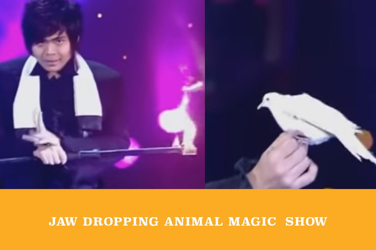 JAW DROPPING ANIMAL MAGIC SHOW | Pixel Party