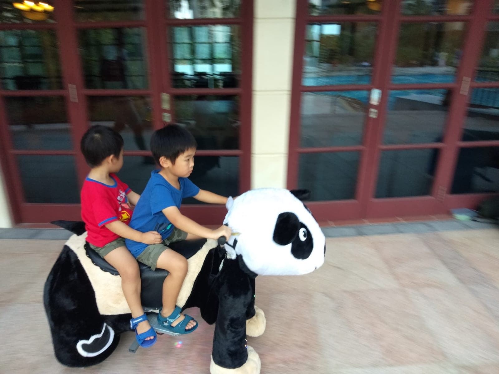 Animal Rides Rental | Pixel Party